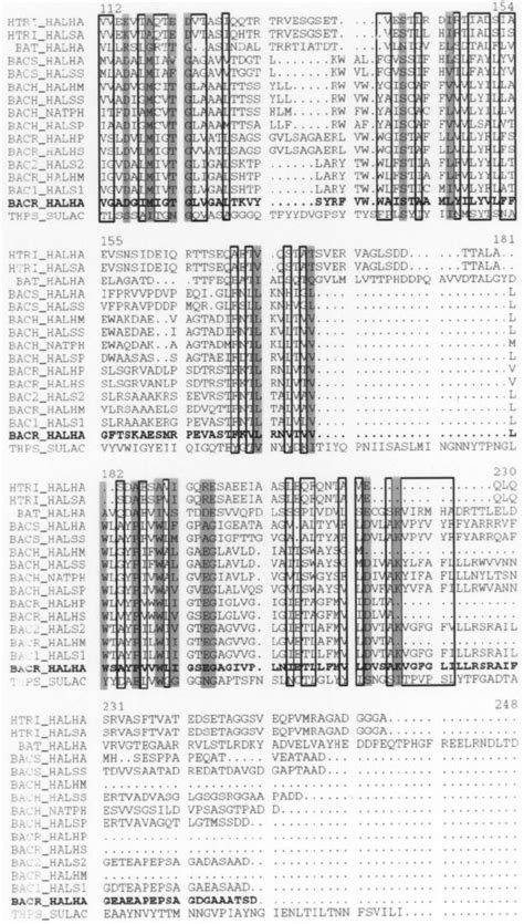 Sequence Alignment Of The BR Sequence With Sequences Of Download Scientific Diagram
