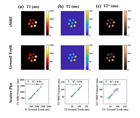 Phantom Validation Of Smrf Approach Based On Gold Standard Methods Download Scientific Diagram