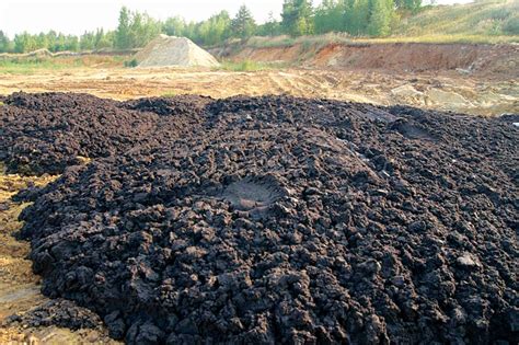 Избыточный активный ил и кек водоканалов