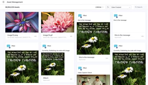 ‎automatically Move Approved Ugc Assets To Digital Asset Manager