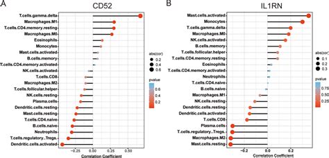 Correlation Between Hub Genes And Immune Cells A The Correlation