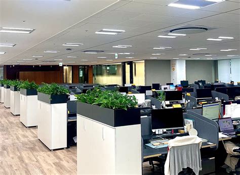 [카카오헬스케어] 사업전략 담당자 채용 공고 원티드