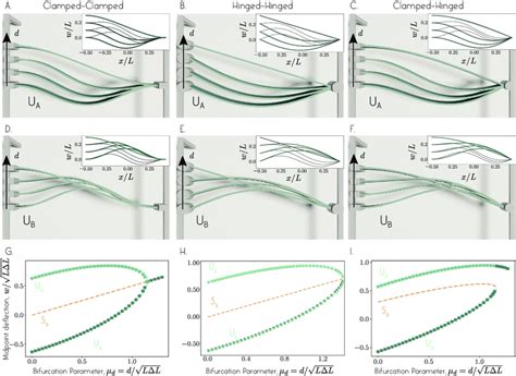 Figure S4 Equilibrium Configurations Of The Euler Buckled Strip Under Download Scientific