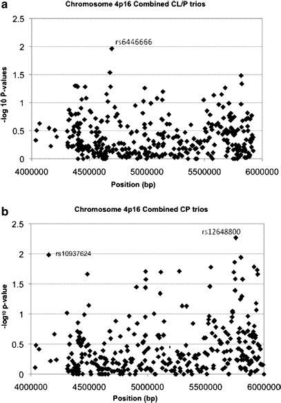 Empirical P Values From A Family Based Test For Linkage In The Presence Download Scientific