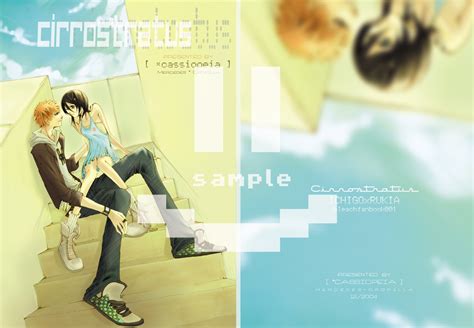 Kuchiki Rukia And Kurosaki Ichigo Bleach Danbooru