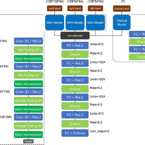 The Hierarchical Architecture Of The 3d Cnn Model Download Scientific Diagram