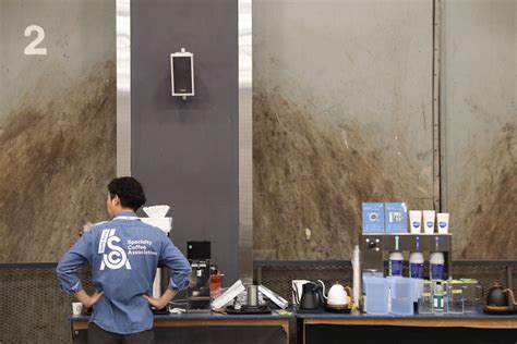 스페셜티커피협회 한국챕터 Specialty Coffee Association Sca Korea