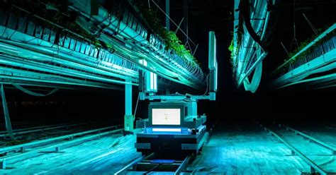 dutch agtech firm honest declared bankrupt exploring potential relaunch