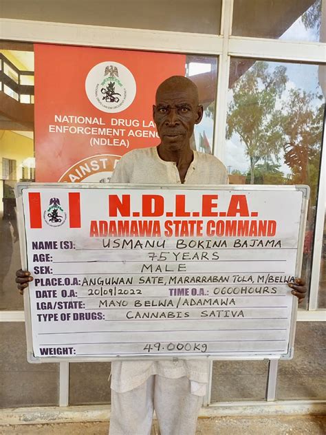Year Old Grandpa Others Arrested Over Tons Of Illicit Drugs Seized Channels Television