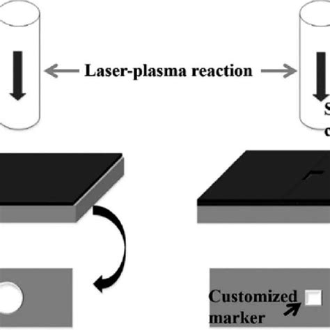 Schematic Representation Of The Lsp Process Download Scientific Diagram