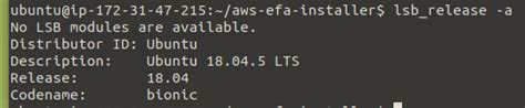 Ubuntu EFA And CDI Tests Are Completely Broken If The GUI Desktop Is Used Issue