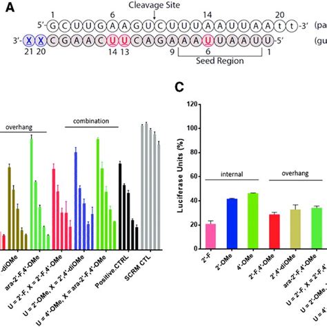 Luciferase Assay Of Duplexes Modified At Positions 6 13 14 20 And