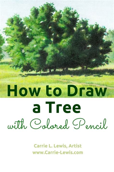 How To Draw A Tree With Colored Pencil Carrie L Lewis Artist Pencil Drawings Color Pencil