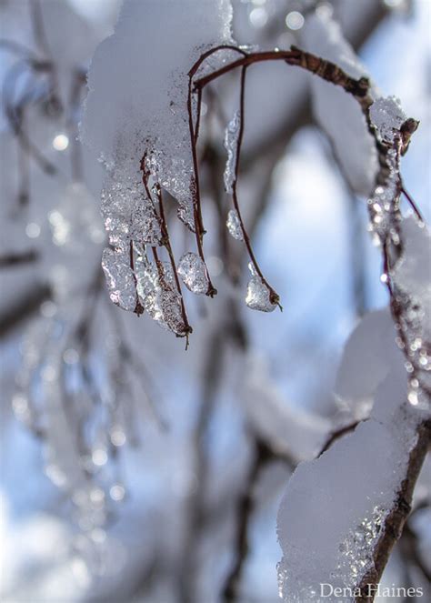 13 Snow Photography Tips A Beginners Guide Photo