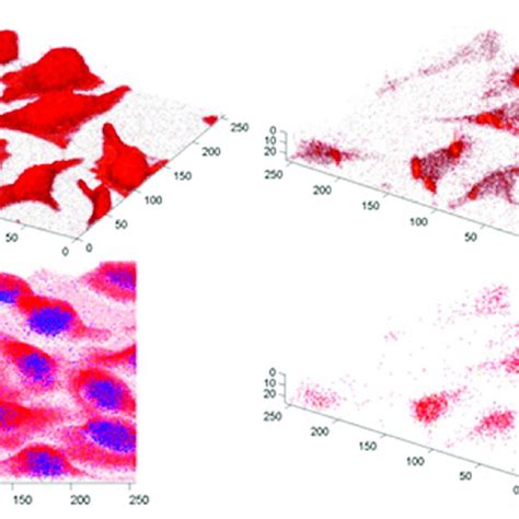 Schematic Of The Hybridsims Spectrometer With Tof And Orbitrap Mass Download Scientific Diagram