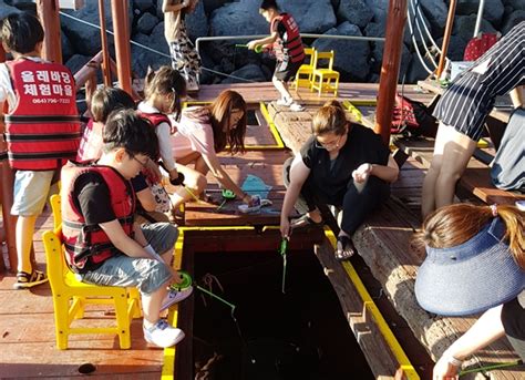 테우마을 수원리 농어촌체험마을