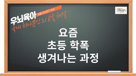 조기교육 실태 초등 학폭이 일어나는 과정 Youtube