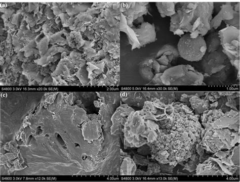 Sem Micrographs Of A The Natural Expansive Soil Sample B