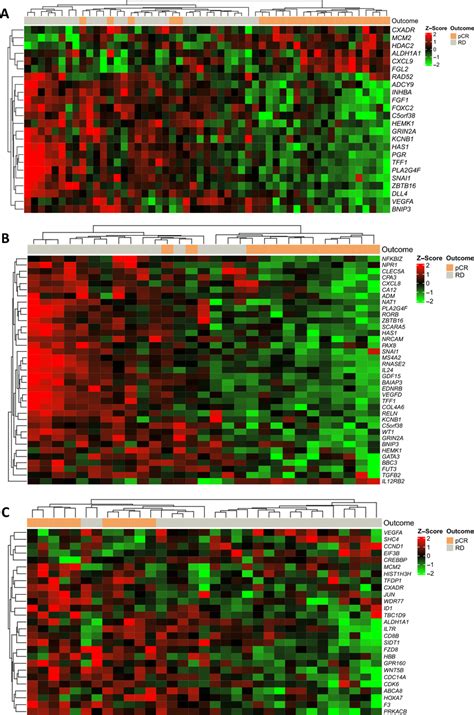 Heatmap Of Gene Expression Data Using Unsupervised Hierarchical Download Scientific Diagram