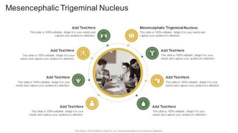 Mesencephalic Trigeminal Nucleus Powerpoint Templates Slides And Graphics