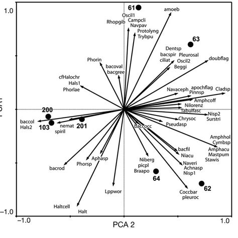 Principal Component Analysis Pca Describing The Species Composition
