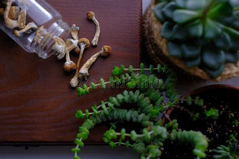 Setas Secas Psilocybe Cubensis Se Dispersan De Un Frasco De Vidrio En