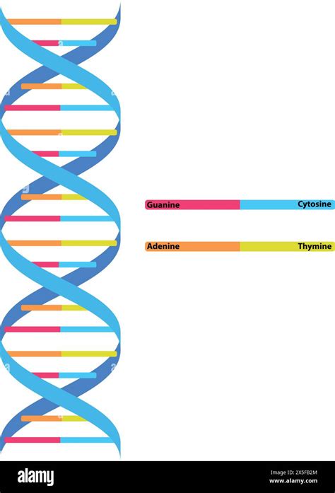 Dna Design In Medical Dna Scientific Dna With Details Dna Sign Molecules Helix Medical