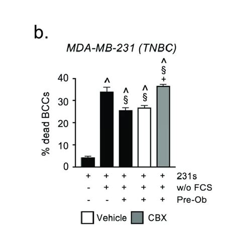 Gap Junction Signaling With Osteoblasts Protects Bccs From Serum