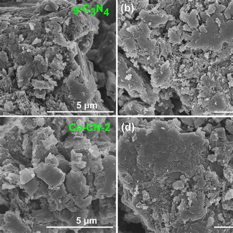Ft Ir Spectra Of Pure G C3n4 And Co Doped G C3n4 Catalysts Download Scientific Diagram