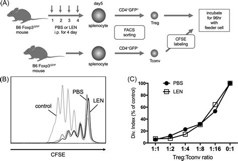 Early Administration Of Lenalidomide After Allogeneic Hematopoietic Stem Cell Transplantation