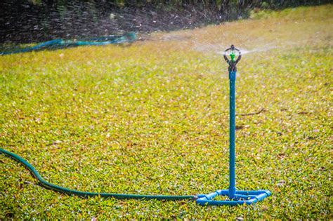 녹색 잔디 필드를 급수 하는 동안 화창한 여름날에 Pvc 자동 정원 잔디 스프링클러 잔디 스프링 클 러는 푸른 잔디에 물