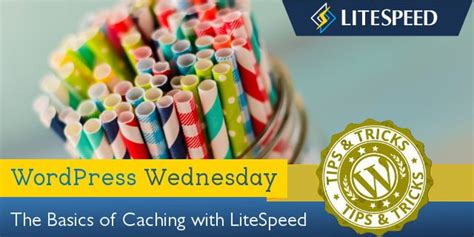 Understanding LiteSpeed Cache For WordPress LiteSpeed Blog