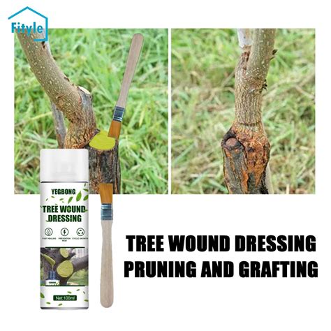 Fityle Ml Tree Wound Sealer Treatment Cream Brush Trees Wounds Sealing Grease Lazada PH
