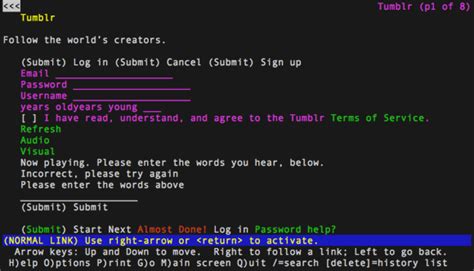 Using Text Only Web Browser Lynx To Visit Some Of Todays Top Websites