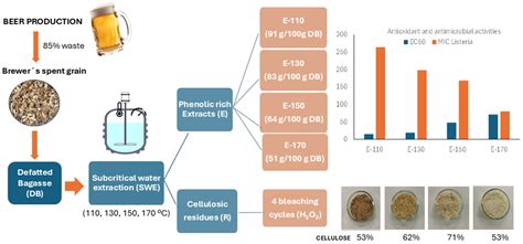 Applying Subcritical Water Extraction To Obtain Bioactive Compounds And Cellulose Fibers From