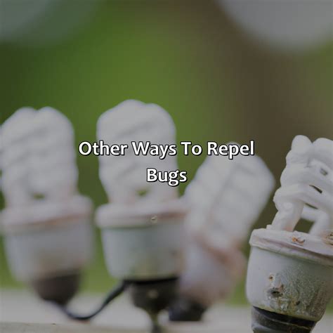 What Color Light Keeps Bugs Away