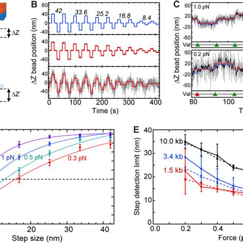 Step Validation And Step Detection Limits For Different Dna Lengths And