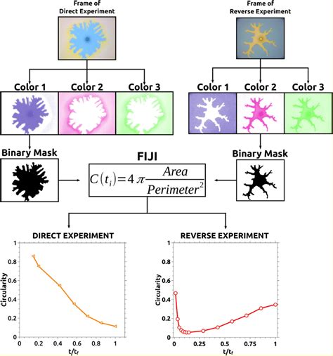 Methodology To Calculate The Circularity The Frames Of Every Download Scientific Diagram