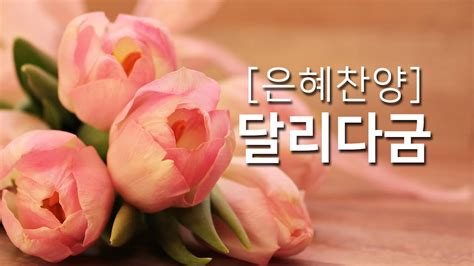 [복음성가연속듣기] 달리다굼 캄캄한 인생길 하루찬양 중간광고 없음 은혜찬양연속듣기 Youtube