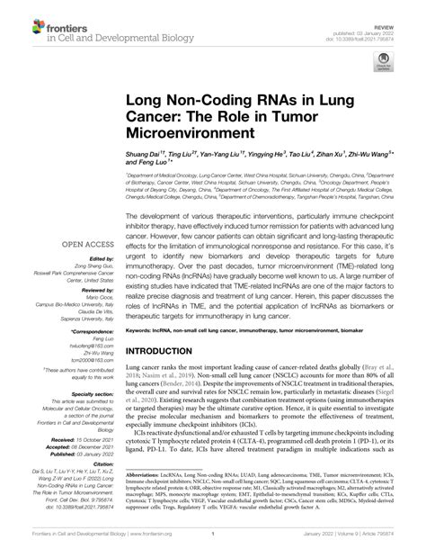Pdf Long Non Coding Rnas In Lung Cancer The Role In Tumor Microenvironment