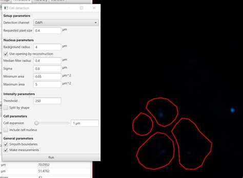 Cell Detection Issues In Qupath Image Analysis Imagesc Forum