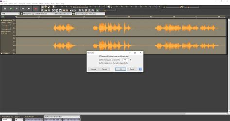 Audacity In The ESL Classroom By Maksym Achkasov
