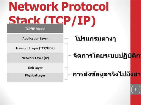 C Socket Program Bangmzaer