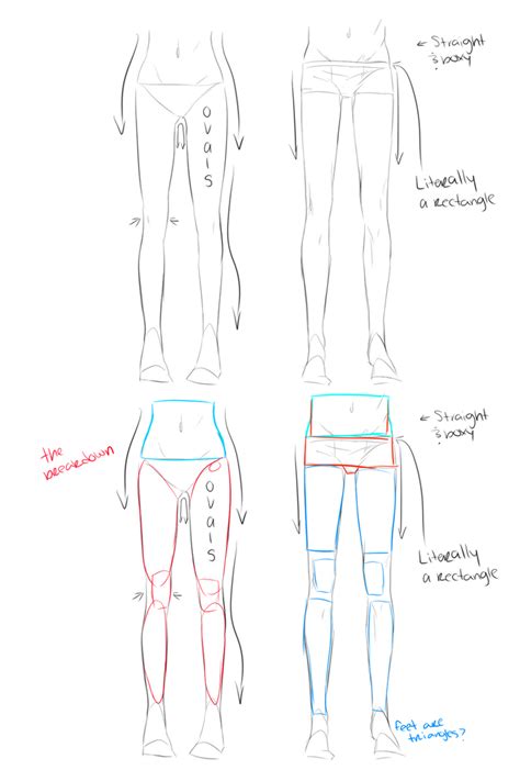 Drawing Legs Tutorial By Maplekeurig On DeviantArt