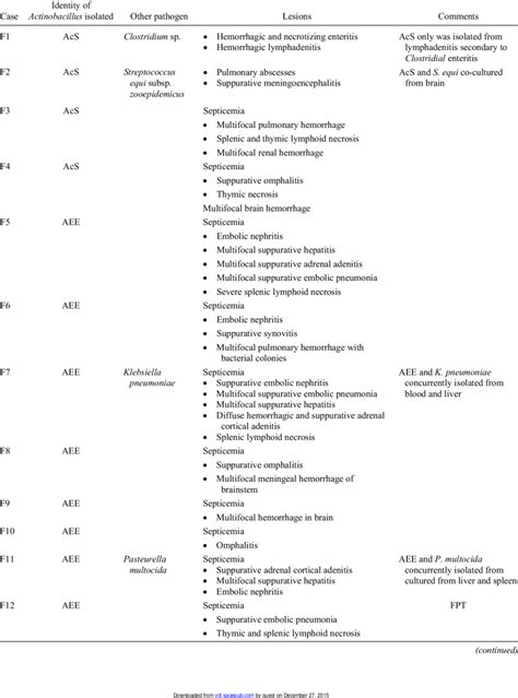 Microbiologic And Histologic Findings In 19 Foals Download Table