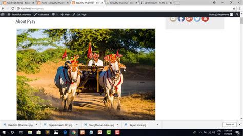 Wordpress Lesson 10 Youtube