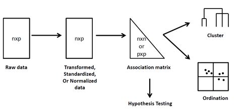 Introduction To Multivariate Analyses Seec
