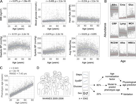 人类血浆中生理衰老减慢的代谢组学特征geroscience X Mol