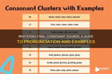 Mastering Final Consonant Sounds A Guide To Pronunciation And Examples Soundcy