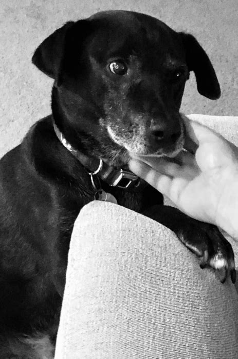 Round 36 Reveals Therapy • Photography Scavenger Hunt